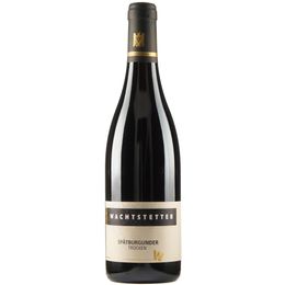 Weingut Wachtstetter Sp&auml;tburgunder 2022 Trocken - Pfaffenhofen W&uuml;rttemberg &ndash; Rotwein VDP.Ortswein