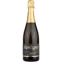 Weingut Montigny Pinot noir Blanc de Sekt brut Sp&auml;tburgunder 2020 Brut - Nahe &ndash; Perl- & Schaumwein Deutscher