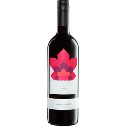 Weingut Gerald Allacher Shiraz Syrah 2023 Trocken - Dorfweing&auml;rten Burgenland &ndash; Rotwein Qualit&auml;tswein