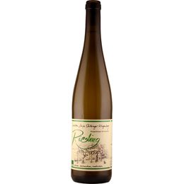 Weinbau Stritzinger Riesling 2022 Halbtrocken - Klingenberger Schlossberg Franken – Weißwein Landwein Main