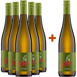 Weingut Galler 5+1 Paket Bio Sauvignac 2022 Trocken - Pfalz &ndash; Probierpaket Qualit&auml;tswein
