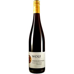Weingut Klaus und Mathias Wolf vom Kalk Stein Sp&auml;tburgunder 2023 Trocken - Pfalz &ndash; Rotwein Qualit&auml;tswein