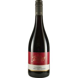 Weingut K&uuml;hling Pinot Noir Gundheimer Sp&auml;tburgunder 2024 Trocken - Rheinhessen &ndash; Rotwein Qualit&auml;tswein