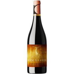 Compa&ntilde;ia Vinicola Solterra Sursum Corda 12 Meses Cebreros DO Garnacha Tinta 2021 Trocken - Kastilien und Le&oacute;n &ndash; Rotwein DOP