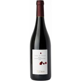 Cantine Politi Case di Terra Marche Cuv&eacute;e Trocken - Marken &ndash; Rotwein IGP