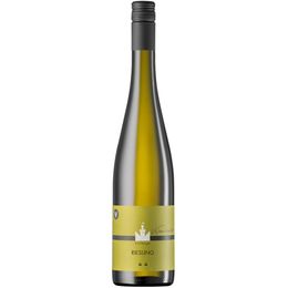 Weingut Weinreuter ** Riesling 2018 Feinherb - W&uuml;rttemberg &ndash; Wei&szlig;wein Qualit&auml;tswein