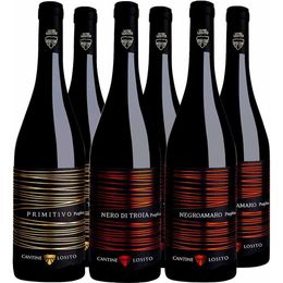 Cantine Losito Rotwein-Paket Trocken - Apulien &ndash; Probierpaket IGP