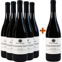 Iacovazzo 5+1 Paket Tramonto Rosso Basilicata Primitivo Trocken - Basilikata &ndash; Probierpaket IGP