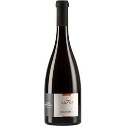 Domaine Sauv&egrave;te Ant&eacute;a Chenonceaux Cuv&eacute;e 2022 Trocken - Loire &ndash; Rotwein AOP