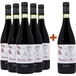 iDivini 5+1 Paket Pian di R&ouml;s d&rsquo;Asti Barbera 2020 Trocken - Piemont &ndash; Probierpaket DOCG