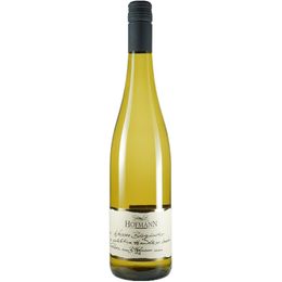Weingut Bernd Hofmann Wei&szlig;er Burgunder Wei&szlig;burgunder 2023 Trocken - Franken &ndash; Wei&szlig;wein Landwein Main