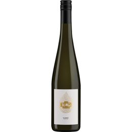 Weingut Jung Dahlen Classic | Gutswein Riesling 2022 Feinherb - Rheingau &ndash; Wei&szlig;wein Qualit&auml;tswein