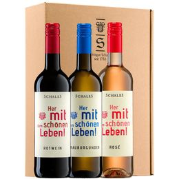 Weingut Schales Her mit schönen Leben! Präsent-Box - Rheinhessen – Probierpaket Qualitätswein