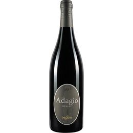 Delaiti Adagio Vigneti delle Dolomiti Merlot Trocken - Trentino &ndash; Rotwein IGP