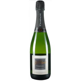 Champagne JY P&eacute;rard Blanc de Blancs brut Chardonnay Brut - &ndash; Perl- & Schaumwein AOP