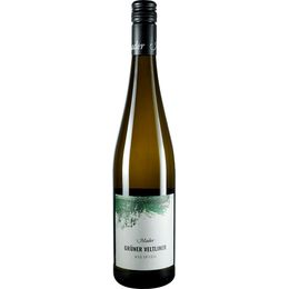 Weingut Mader Ried "Spiegel" Kamptal DAC Gr&uuml;ner Veltliner 2024 Trocken - Spiegel &ndash; Wei&szlig;wein Qualit&auml;tswein