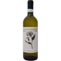 Terre di San Felice Tebbiano Spoletino Spoleto Trebbiano 2023 Trocken - Umbrien &ndash; Wei&szlig;wein DOC