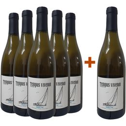 Alberto Nanclares Pack Descuento 5+1 Tempus Vivendi Rías Baixas DO Albariño 2023 Trocken - Galicien – Probierpaket DOP