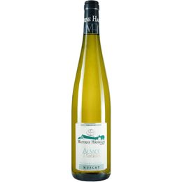Domaine MATERNE HAEGELIN et filles Muscat Tradition Alsace Muscadelle 2019 Trocken - Elsass &ndash; Wei&szlig;wein AOP