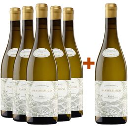 Vinos del Panor&aacute;mico 5+1 Aktionspaket Blanco Rioja DOCa Malvas&iacute;a de Colares 2021 Trocken - La &ndash; Probierpaket DOP