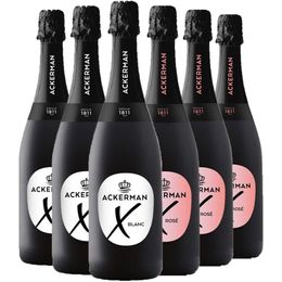 Maison Ackerman X Kennenlernen-Paket Brut - Loire &ndash; Probierpaket Vin de France