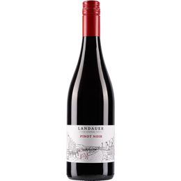 BIO Weingut Landauer-Gisperg Pinot Noir Klassik Sp&auml;tburgunder 2021 Trocken - Thermenregion &ndash; Rotwein Qualit&auml;tswein