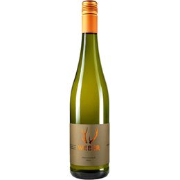 Weingut Weber Muschelkalk Sechsender Riesling 2025 Trocken - Pfalz &ndash; Wei&szlig;wein Qualit&auml;tswein