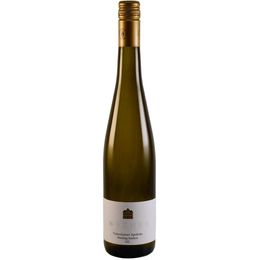 Weingut Werner Trittenheimer Apotheke Gro&szlig;e Gew&auml;chs Riesling 2019 Trocken - Mosel &ndash; Wei&szlig;wein Qualit&auml;tswein