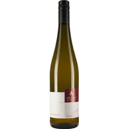Weingut Amlinger-Schardt Riesling 2023 Trocken - Bullayer Brautrock Mosel &ndash; Wei&szlig;wein Qualit&auml;tswein