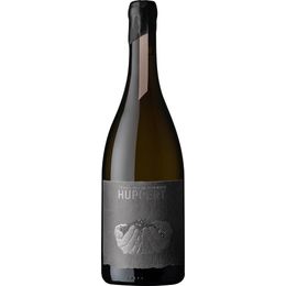 Terra Preta Weingut Huppert Blauer Sp&auml;tburgunder 2021 Trocken - Rheinhessen &ndash; Ros&eacute; Landwein Rhein
