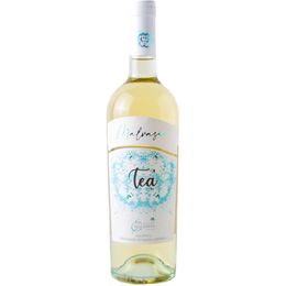 Cantine Capuzzimati Tea Salento Malvasia Trocken - Apulien &ndash; Wei&szlig;wein IGP