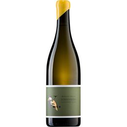 Weingut Kneisel SONNENBERG Sauvignon Blanc 2019 Trocken - Pfalz &ndash; Wei&szlig;wein Qualit&auml;tswein