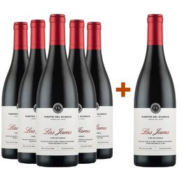 Fuentes del Silencio Pack Descuento 5+1 Las Jaras Castilla y Le&oacute;n VT Cuv&eacute;e 2020 Trocken - Kastilien und &ndash; Probierpaket IGP