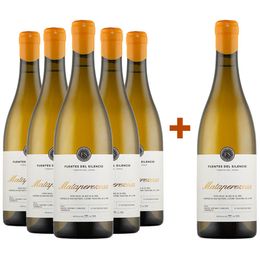 Fuentes del Silencio Pack Descuento 5+1 Mataperezosa Blanco Castilla y Le&oacute;n VT Cuv&eacute;e 2021 Trocken - Kastilien und &ndash; Probierpaket IGP