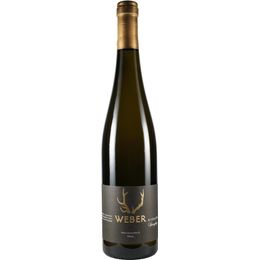 Weingut Weber Springberg Zehnender Riesling 2022 Trocken - D&ouml;rrenbacher Pfalz &ndash; Wei&szlig;wein Qualit&auml;tswein