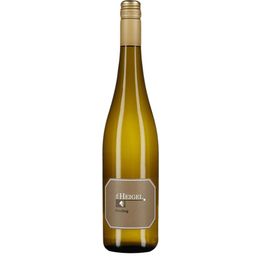 Weingut Dr. Heigel Riesling 2023 Trocken - Zeiler M&ouml;nchshang Franken &ndash; Wei&szlig;wein Qualit&auml;tswein