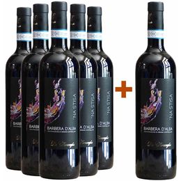 La Roncaglia 5+1 Paket Na'stissa d'Alba Barbera - Piemont &ndash; Probierpaket DOC