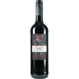 Weingut H&auml;u&szlig;er Weingut H&auml;u&szlig;er INSTINKT Acolon 2020 Trocken - B&uuml;rger Schlossberg W&uuml;rttemberg &ndash; Rotwein Qualit&auml;tswein