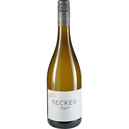 Sabrina Becker Weine Freshheit entalkoholisierter Halbtrocken - Rheinhessen &ndash; Sonstiges Sch&auml;umendes Getr&auml;nk aus alkoholfreiem Wein