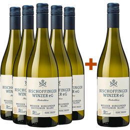 BISCHOFFINGER WINZER 5+1 Paket Wei&szlig;burgunder & Sauvignon Blanc Cuv&eacute;e Lieblich - Baden &ndash; Probierpaket Qualit&auml;tswein