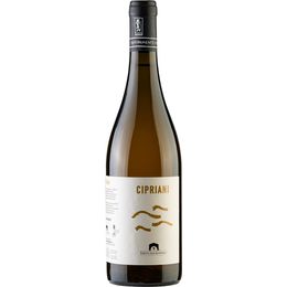 Tenuta San Marcello Cipriani Verdicchio Bianco 2025 Trocken - Marken &ndash; Wei&szlig;wein DOC