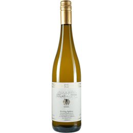 Weingut Dixius Riesling 2019 Feinherb - Mosel &ndash; Wei&szlig;wein Sp&auml;tlese