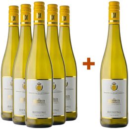 Weingut Herzog von W&uuml;rttemberg Weingut Herzog von W&uuml;rttemberg 5+1 Schloss Monrepos-Paket Riesling 2023 Trocken - &ndash; Probierpaket VDP.Gutswein