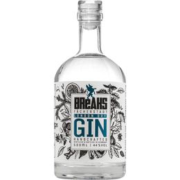 Breaks Spirituosen Karlsruhe Dry - Verschiedene Regionen &ndash; Spirituose Gin