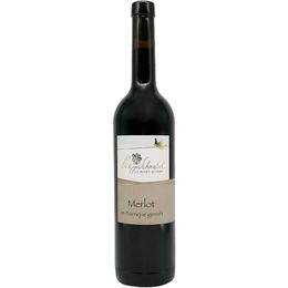 Weingut Philipp Schnabel im Barrique gereift Merlot 2019 Trocken - Rheinhessen &ndash; Rotwein Qualit&auml;tswein