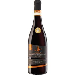 Winzerkeller Hex vom Dasenstein - Alte Rebe Sp&auml;tburgunder 2023 Feinherb Baden &ndash; Rotwein Sp&auml;tlese
