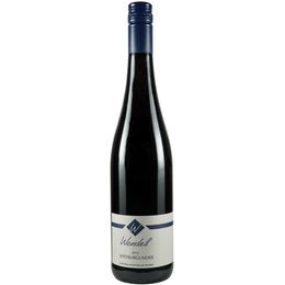 Weingut Wendel Weingut Klaus und Judith Wendel Sp&auml;tburgunder 2023 Lieblich - Rheinhessen &ndash; Rotwein Qualit&auml;tswein