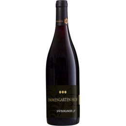 Wein- und Sektgut Immengarten Hof R Sp&auml;tburgunder 2015 Trocken - Pfalz &ndash; Rotwein Qualit&auml;tswein