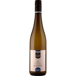 Weingut Reuscher-Haart "UrWurzel" Riesling 2020 Trocken - PIESPORTER FALKENBERG Mosel &ndash; Wei&szlig;wein Qualit&auml;tswein