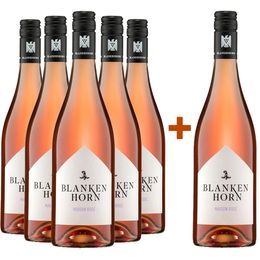 Weingut Blankenhorn 5+1 Paket Maison Ros&eacute; VDP.GUTSWEIN Cuv&eacute;e 2024 Trocken - Baden &ndash; Probierpaket Qualit&auml;tswein